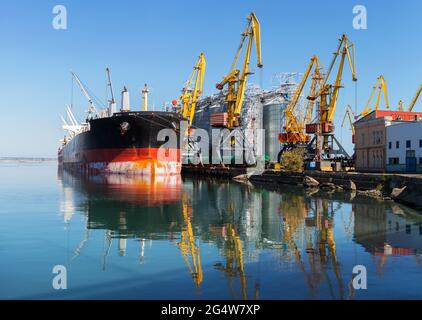 Panamax bulk carrier loaded with wheat. Ship at grain terminal. Port ...