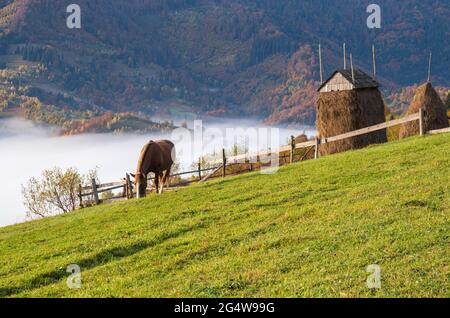 Morning foggy clouds in autumn mountain countryside. Ukraine ...
