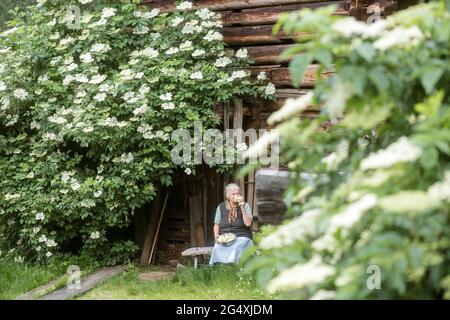 Senior woman farmer holding smelling tomatoes in greenhouse Stock Photo ...