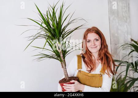 Young woman with beautiful houseplant in pot at home. Concept Taking ...
