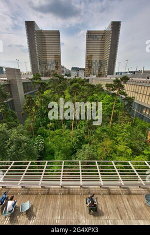 FRANCE, PARIS (75013), FRENCH NATIONAL LIBRARY (BNF) - SITE TOLBIAC ...