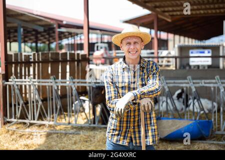 Cow farm owner posing in barn Stock Photo - Alamy