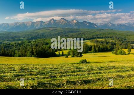 Panoramic View over Lapszanka Valley and High Tatras Mountains in ...