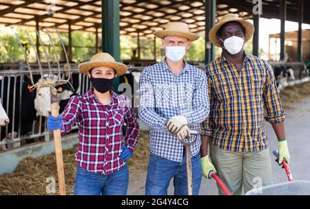 Three farmers in masks posing on a farm in a cowshed Stock Photo - Alamy