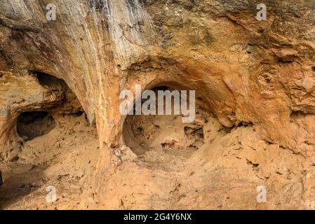 cave paintings of Abrics de l'Ermita, the most important Spanish ...
