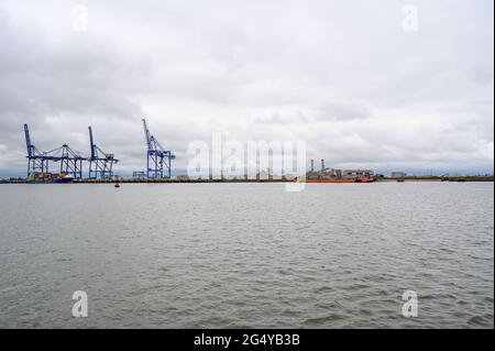 London Thamesport large cranes on Isle of Grain, Thames estuary, Kent ...