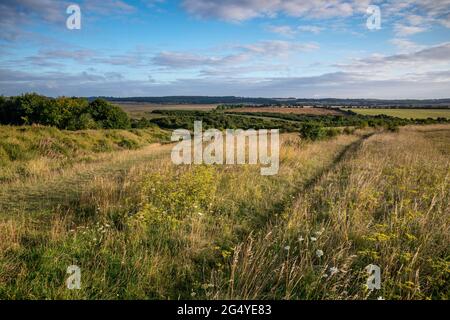 View of the chalk downland landscape at Martin Down National Nature ...