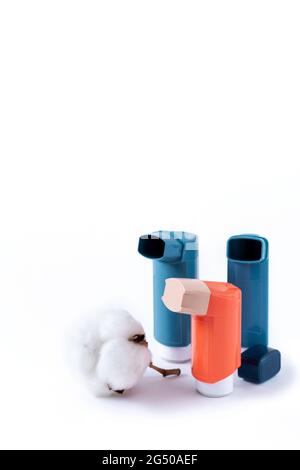 World Asthma Day on May 2 Illustration with Inhaler and Health ...