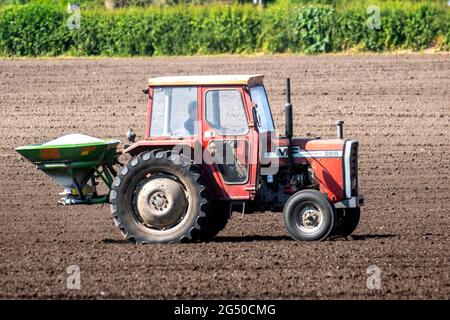 Massey Ferguson MF 265 Tractor Stock Photo - Alamy