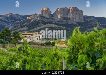 Sunrise over the rocks of Roques de Benet, seen from near Horta de Sant ...