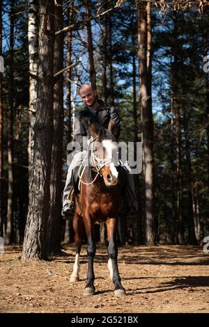 Young Man Jockey Riding Brown Horse Strolling Across Field Stock Photo ...