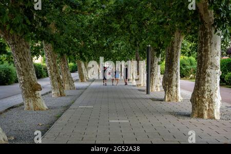 Remei promenade between Santa Maria and Sant Esteve de Palautordera ...