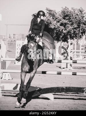 Horse Jumping Championship Stock Photo - Alamy