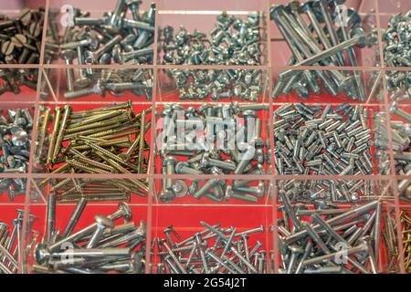 Various Size and Shape of Screws and Bolts Selection in Plastic Tray ...