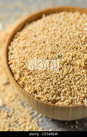 Grain of quinoa Stock Photo - Alamy