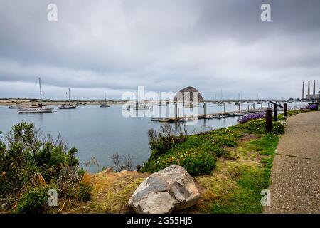 The Morro Bay area and San Luis Obispo County in California are known ...