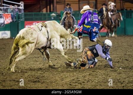Bullfighters distract Gun Train to help protect the cowboys during the ...