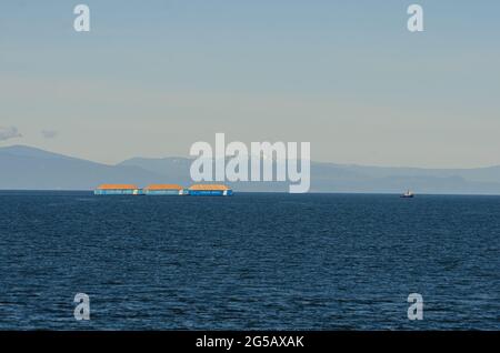 Three barges filled with load of wood chips towed by tug boat Stock ...