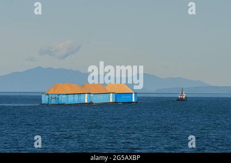 Three barges filled with load of wood chips towed by tug boat Stock ...