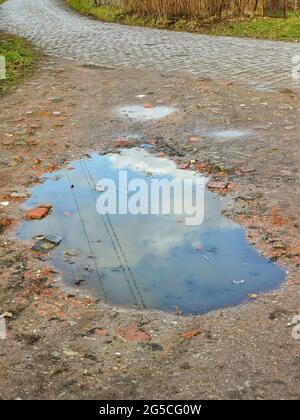 Urine dirt puddle in the city Stock Photo - Alamy
