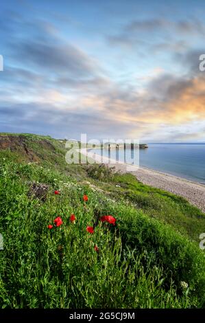 Seascape of the rocks at the coastline of Kraimorie, Burgas region ...
