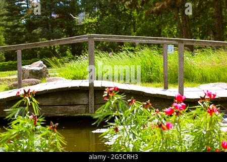 Wooden bridge over garden pond, England UK Stock Photo - Alamy