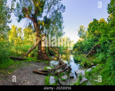 Wien, Vienna: oxbow lake Lusthauswasser in park Prater in 02 ...