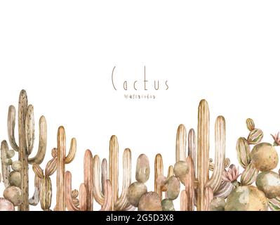 Banner, template for cards with cactuses . image of brown cacti frame ...