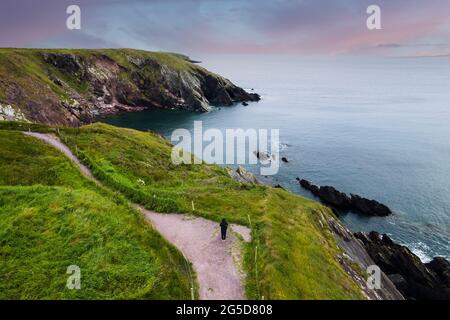 The Knockadoon Head cliff walks in county Cork, Ireland Stock Photo - Alamy