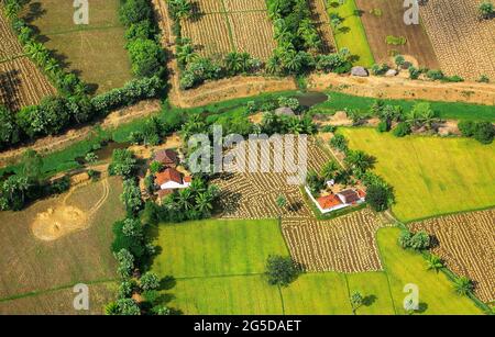 Kakinada, April 10,2007:Aerial view of paddy ,rice fields and coconut ...