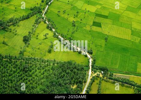 Kakinada, April 10,2007:Aerial view of paddy ,rice fields and coconut ...