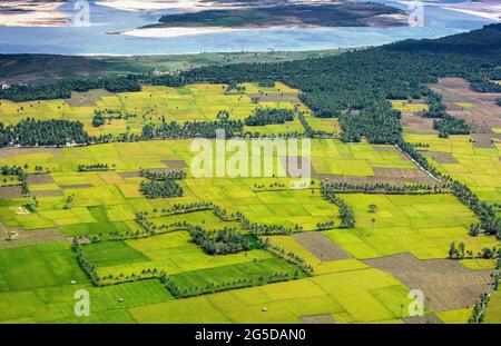 Kakinada, April,10,2007:,Aerial view of green paddy ,rice fields ...