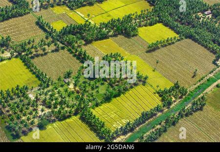 Kakinada, April,10,2007:,Aerial view of green paddy ,rice fields ...
