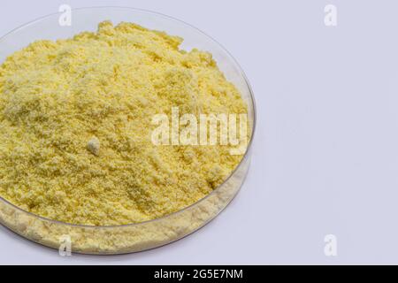 Sulfur Powder in Petri dish with plastic lid on laboratory table. A ...