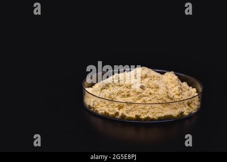 Sulfur Powder in Petri dish with plastic lid on laboratory table. A ...