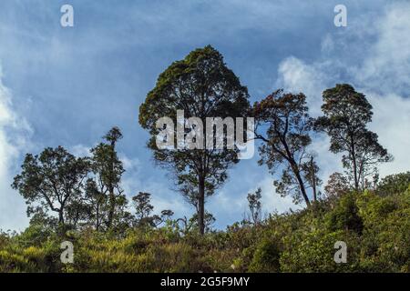 Talagabodas crater at Garut regency of Indonesia. The crater belong to ...