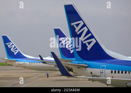 All Nippon Airways (ANA) airplanes seen at the Tokyo International ...