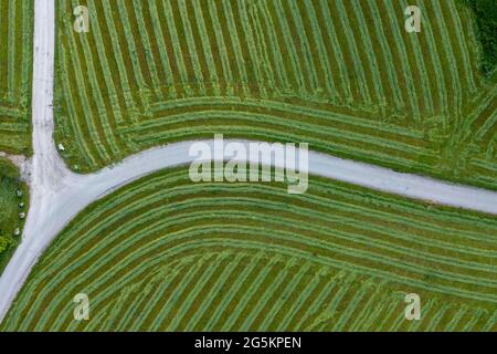 Freshly mown fields, graphic photo, near Gaißach in the morning light ...