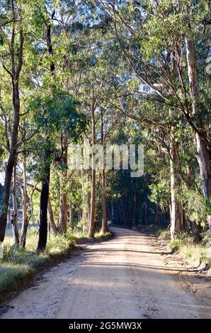 A road in the Megalong Valley of Australia Stock Photo - Alamy
