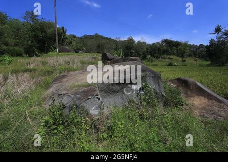A rocks at paddy green field at West Java Indonesia Stock Photo - Alamy