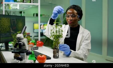 African researcher measure sapling for botany experiment working in ...