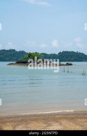 A small island with trees in the middle of the lake with transparent ...