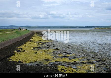 Lymington - Keyhaven Nature Reserve, Normandy Lagoon, Hampshire ...