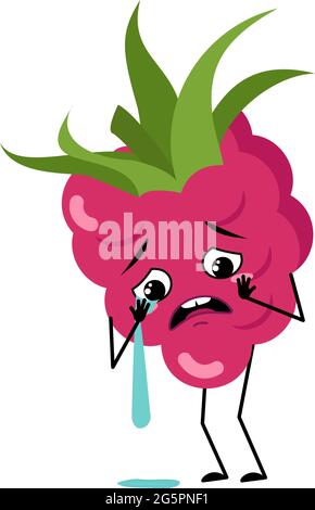 Cute raspberry character with sad emotions, downcast eyes, depressing ...