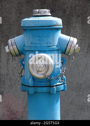 The Blue Hydrant Stock Photo - Alamy
