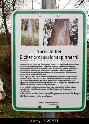 Warning sign for Oak Processionary moths and caterpillars in woodland ...
