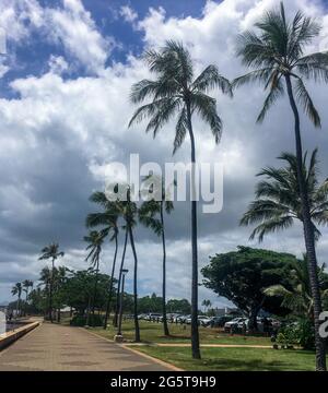 Point Panic Hawaii town Stock Photo - Alamy
