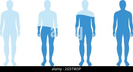 Infographic showing water percentage level in human body. Vector ...