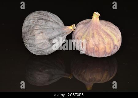 Two ripe organic figs, close-up, isolated on white Stock Photo - Alamy