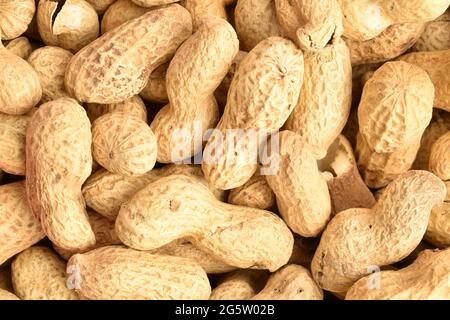Organic ripe unpeeled peanuts, close-up, on a slate serving board, top ...
